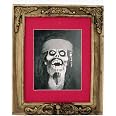 Amazon.com : Scary Pirate Picture Frame Halloween Prop : Outdoor Decor ...