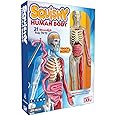 Amazon.com: SmartLab Toys Squishy Human Body with 21 Removable Body ...