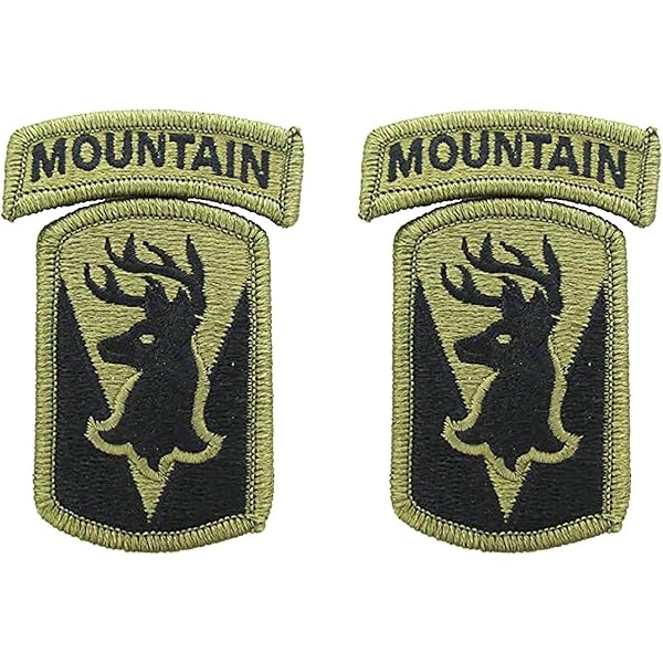 Wwii Patch 372nd Infantry Regiment