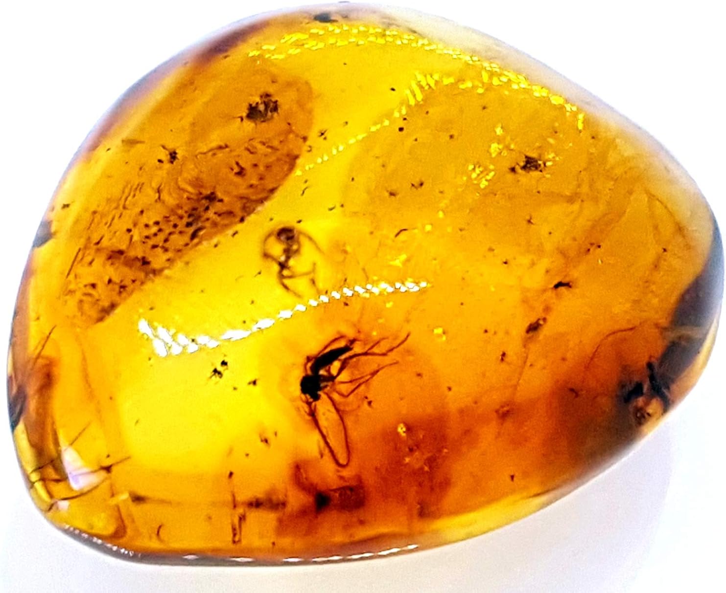Ambermilana Natürliche Edelstein Bernstein mit Einschlüsse Insekt ...