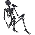 Amazon.com: 5.4Ft Halloween Skeleton,Posable Skeleton Full Size ...