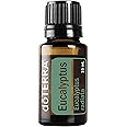 Amazon.com: doTERRA Eucalyptus Radiata Essential Oil - 15 mL : Health ...