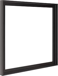 Amazon.com: Pixy Canvas 10x10 inch Floater Frame for Canvas Paintings ...
