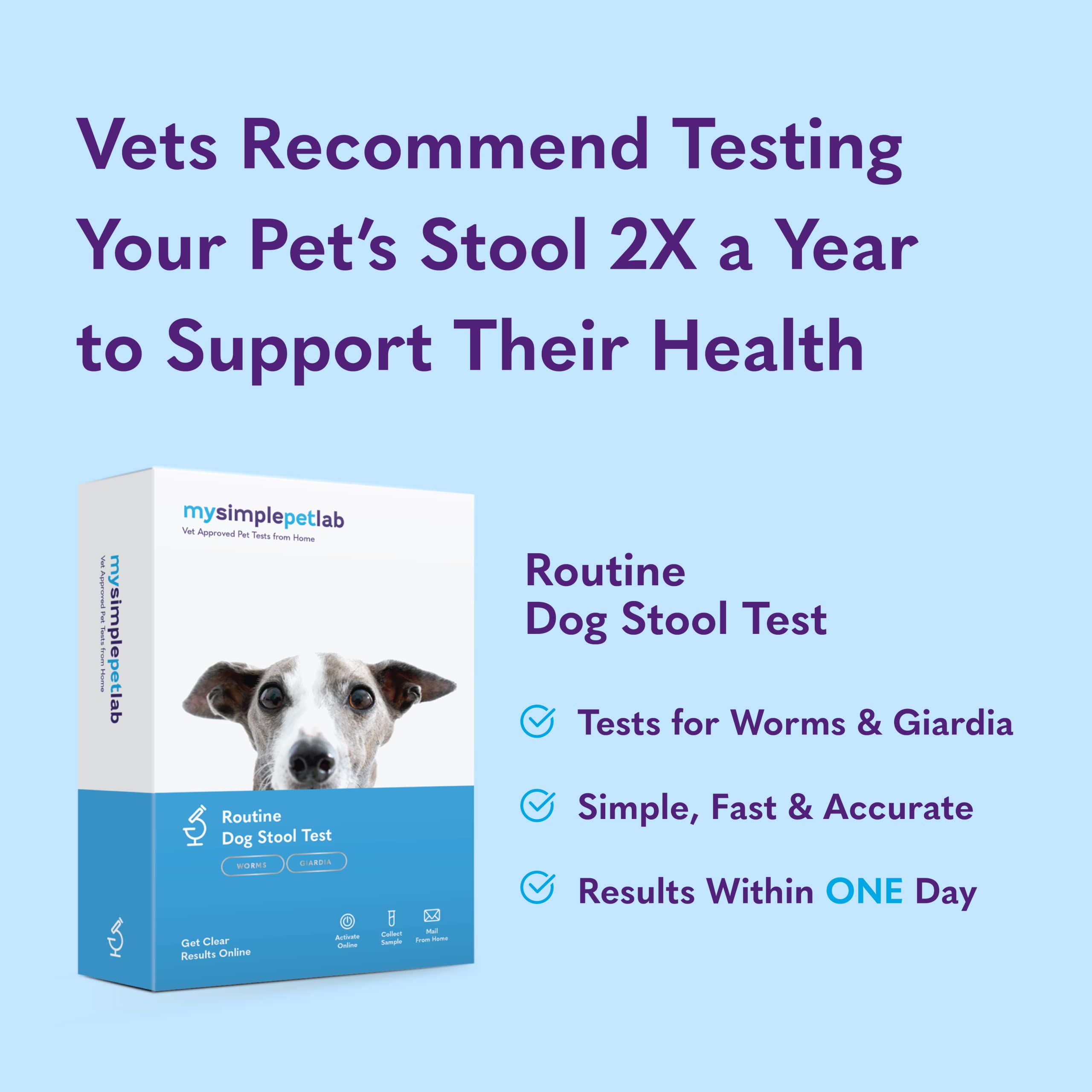 Mua MySimplePetLab Routine Dog Stool Test Kit | Fast and Accurate Worms ...