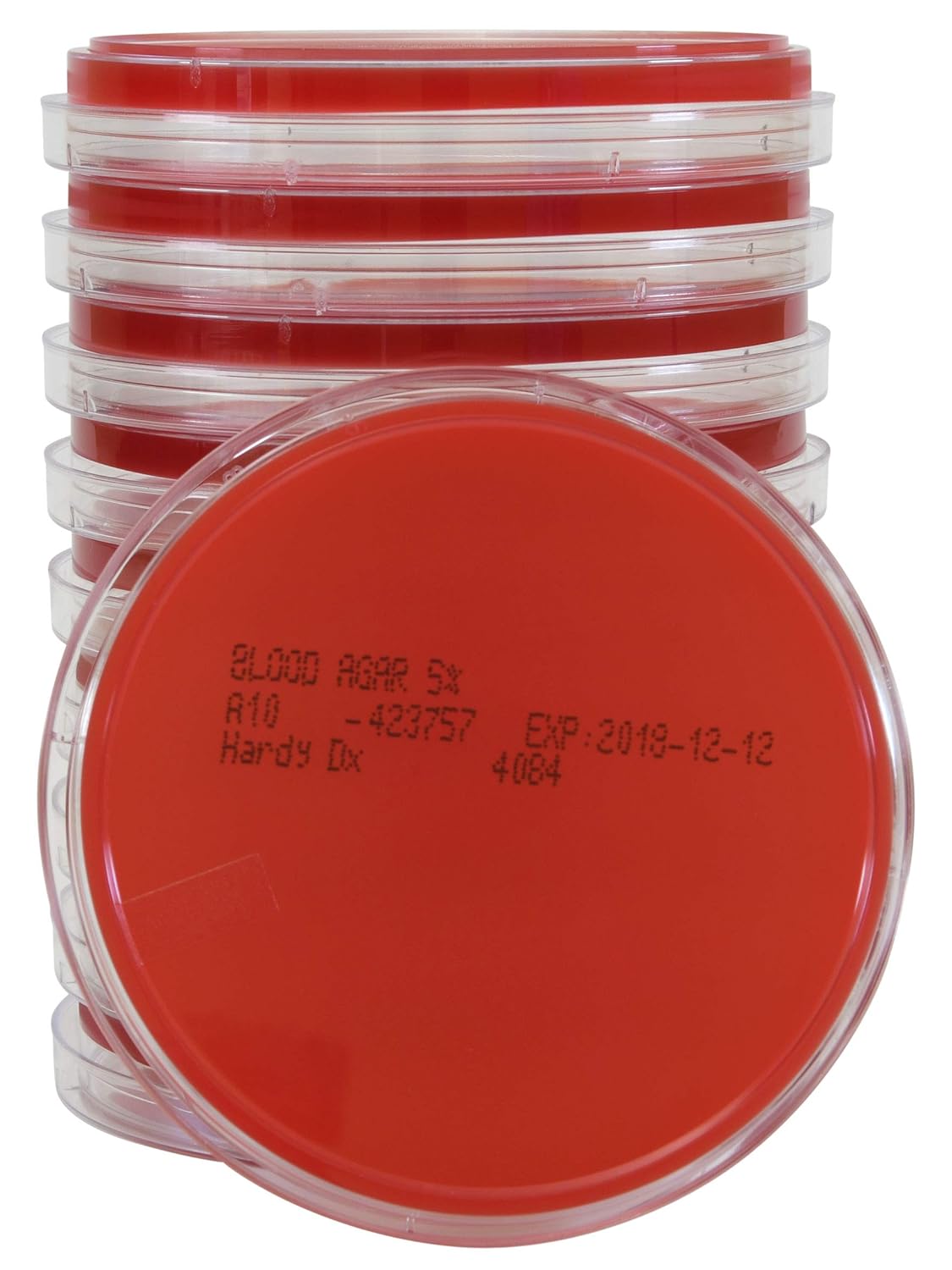Base Blood Agar Plate 15x100mm Plate Order by The Package of 10 TSA by ...