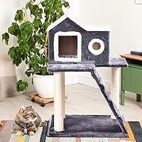 Amazon.com New Releases: The best-selling new & future releases in Cat ...