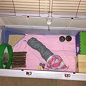 Living World 61859 Deluxe Pet Habitat, X-Large: Amazon.ca: Pet Supplies