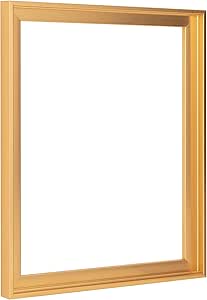 Amazon.com: Pixy Canvas 20x24 inch Floater Frame for Canvas Paintings ...