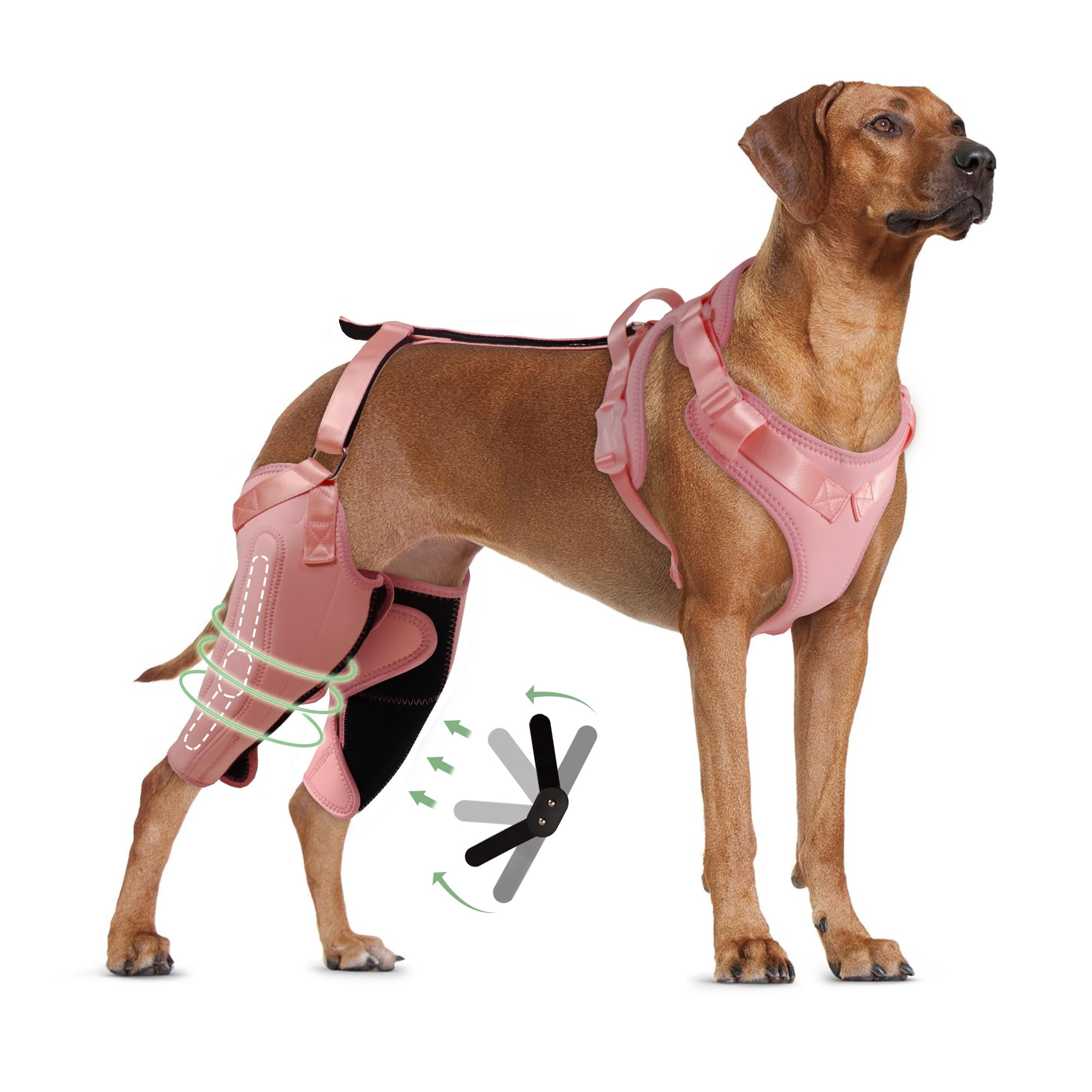 LISPOO Dog Knee Brace for Torn Acl Hind Leg, Dog Leg Braces for Back ...