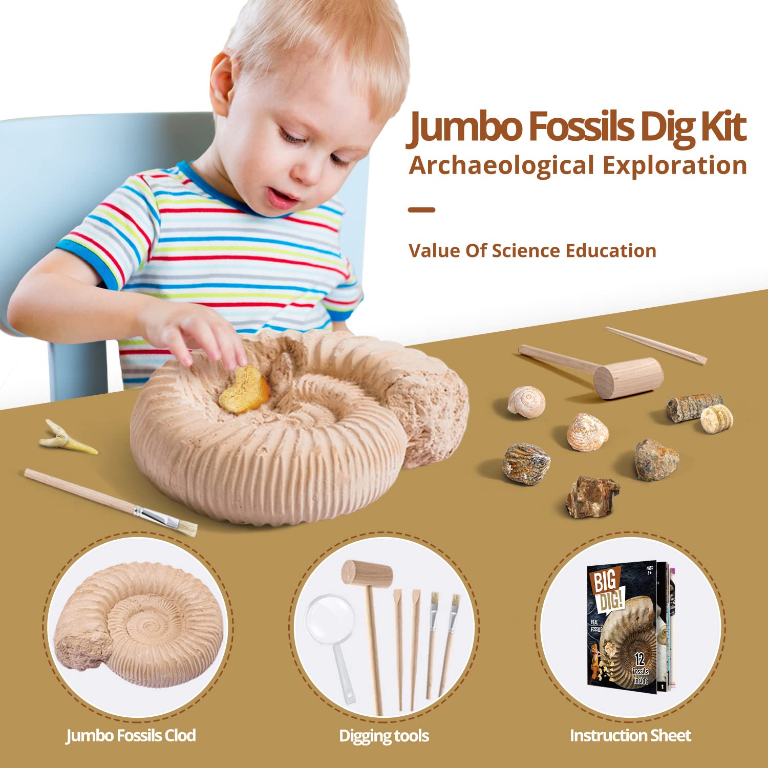 Mua Byncceh Mega Fossil Dig Kit - Excavate 12 Prehistoric Fossils ...