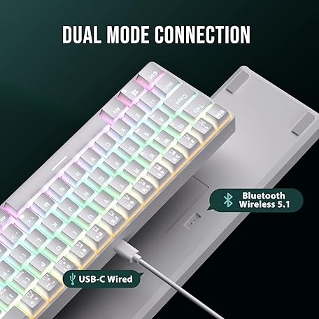 Mua RK ROYAL KLUDGE RK68 Mechanical Gaming Keyboard, Wireless/Wired ...