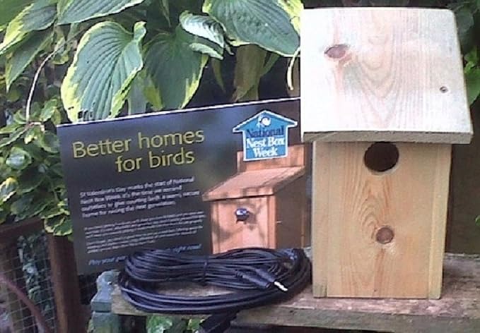 Watch the Birdie Bird Nest Box Colour Camera with USB and Cable 12 ...