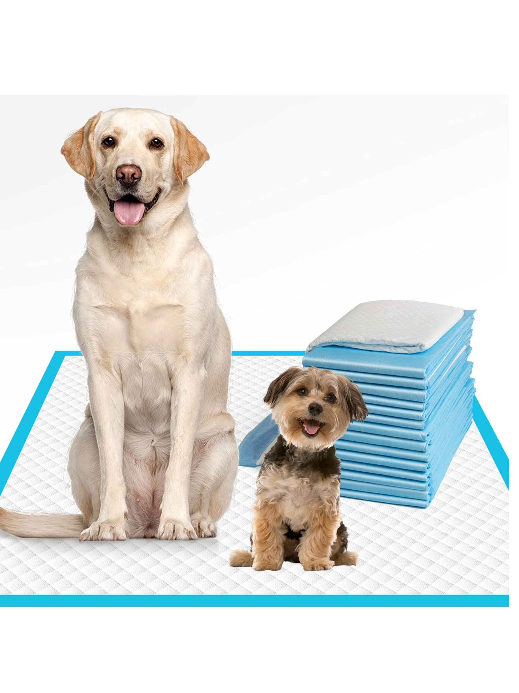Pet Training Puppy Pee Pads 24"x24" 40 Count Puppy, Dog Pee Pads ...