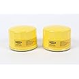 Amazon.com: 2 Pack Oil Filter Fits B&S 696854 795890 842921 695396 ...