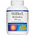 Natural Factors - WellBetX Berberine 500 mg, 120 capsules : Amazon.ca ...