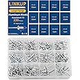 Amazon.com: 220PCS Large flange Rivets Pop Rivets Assortment Kit ...