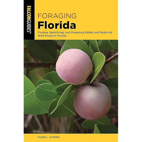 Edible Wild Plants North Florida Florida's Edible Wild Plants: A Guide