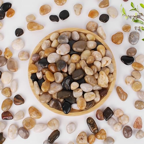 Natural River Rocks 1-2 Inch Ornamental Polished Pebbles Pebbles for ...