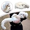 Falcore Luck Dragon Plush, Falkor from The Neverending Story Handmade ...