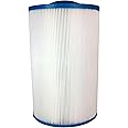 Amazon.com : In The Swim Premium Spa Filter Cartridge Replacement for ...