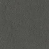 Amazon.com: Bazzill Basics Paper T19-10475 Prismatic Cardstock, 25 ...