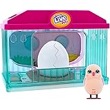 Little Live Pets - Surprise Chick; Cute Interactive Collectible Toy ...