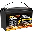 Amazon.com: MFUZOP 12V 100Ah LiFePO4 Battery, 100A Smart BMS, Rechargeable Lithium Battery Deep ...