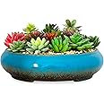 Amazon.com: Succulent Pots - 11.5 Inch Ceramic Bonsai Pots with ...
