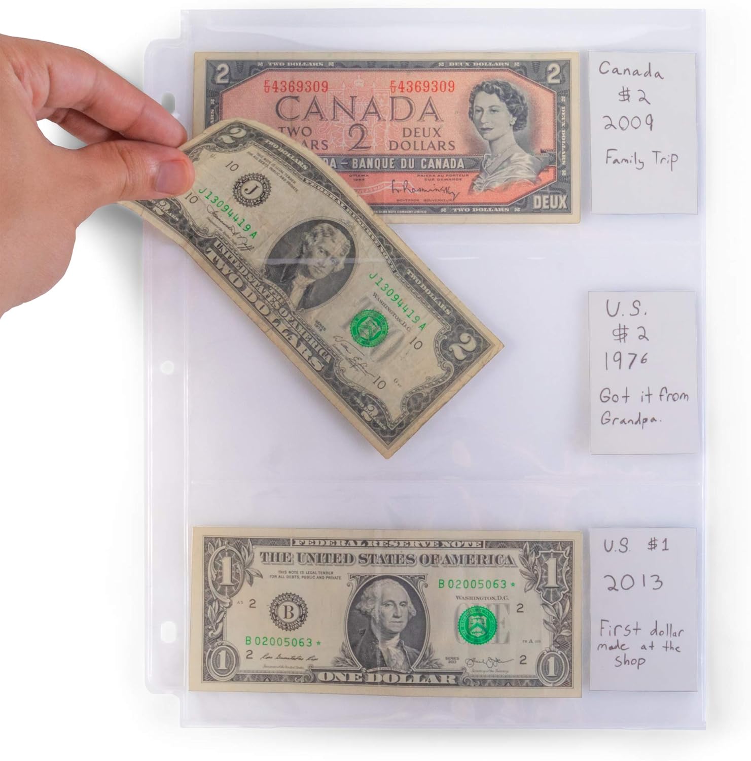 Amazon.com: 3-Pocket Vinyl Bill Sleeves 20 Pages - Bill Holders for ...