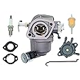 Amazon.com: AUC14748 Carburetor for John Deere X166 Ride On Mower with ...