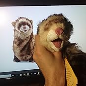 Amazon.com: Folkmanis Ferret Hand Puppet: Toys & Games