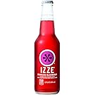 IZZE Sparkling Juice 2 Flavor Variety Pack, 12 oz Glass Bottles, 12 ...