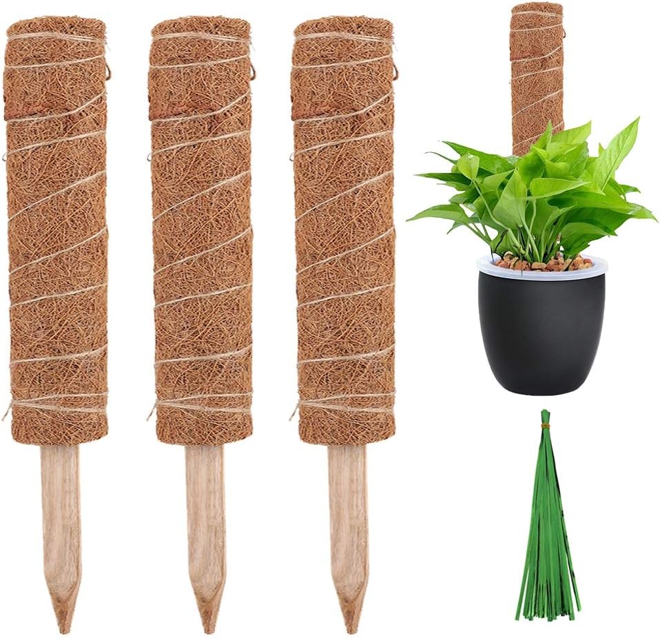 Sunshay Moss Pole,3 Pcs Connectable Plant Support Poles,30/40/50 cm ...