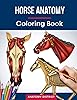 Horse Anatomy Coloring Book: Incredibly Detailed Self-Test Horse ...