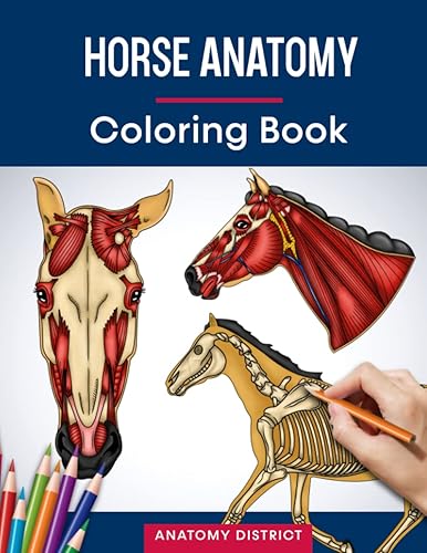 Horse Anatomy Coloring Book: Incredibly Detailed Self-Test Horse ...