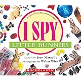 I Spy Little Hearts (with foil): A Book of Picture Riddles: Marzollo ...