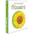 My First Book of Flowers: Wonder House Books: 9789386538413: Amazon.com ...