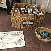 Can I Be Your Dog?: Cummings, Troy: 9780399554520: Amazon.com: Books