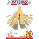 Amazon.com: Bleach, Vol. 38: Fear for Fight: 9781421535975: Kubo, Tite ...