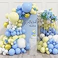 Amazon.com: Blue & Yellow Balloon Arch Kit - Arch & Garland with Latex Balloons for Birthday ...
