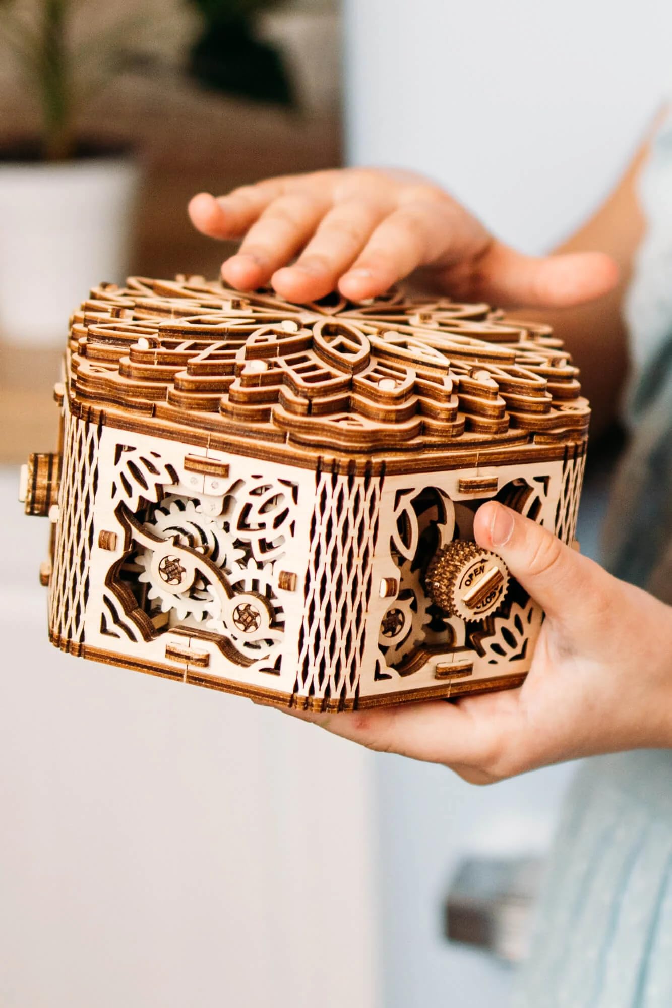 Mua Wood Trick Mystery Flower Für Elise Wooden Music Box Kit - Keepsake ...