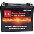 BRS20HL-BS High Performance AGM Battery 2 Year Warranty 12V, 20AH, 310 ...