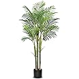 Amazon.com: 6.25 Ft Tall Three Sturdy Trunks Palm Tree Artificial ...