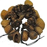 Performance Percussion NS1 Nut Shell Shaker: Amazon.co.uk: Musical ...