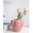 Amazon.com: DN DECONATION Pink Strawberry Vase for Flower, Strawberry ...