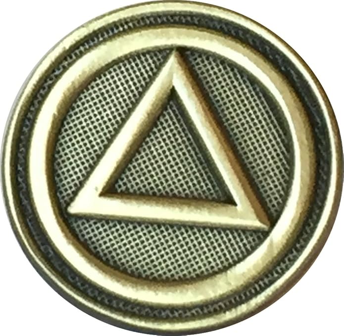 Amazon.com: RecoveryChip AA Logo Circle Triangle Lapel Pin Alcoholics ...