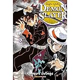 Demon Slayer - Kimetsu No Yaiba Vol. 4 | Amazon.com.br
