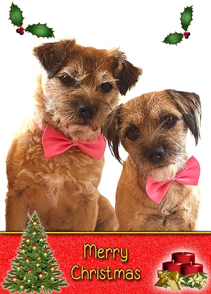 Border Terrier Dog Christmas Card 'Merry Christmas': Amazon.co.uk ...