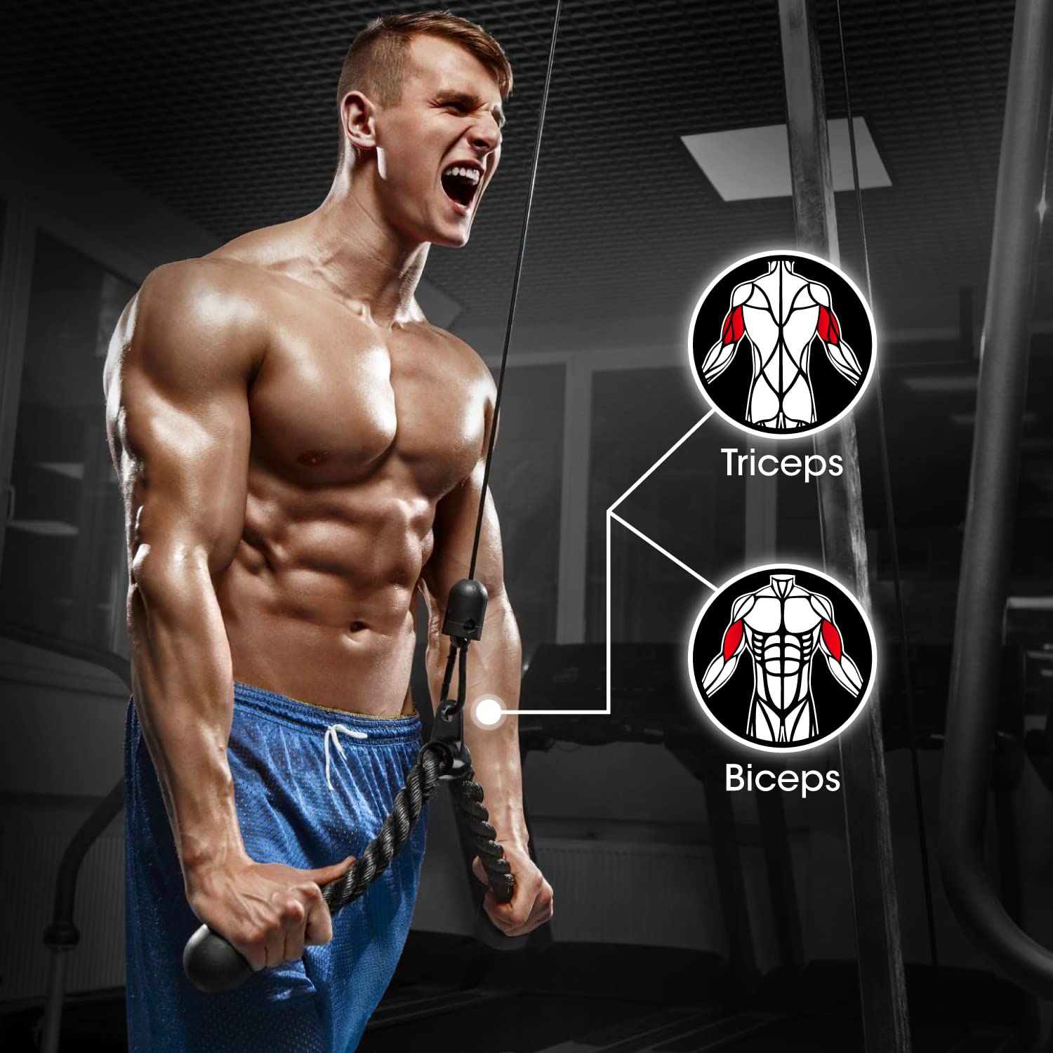 Mua Yes4All Cable Machine Attachment, LAT Pulldown Attachments for Gym ...