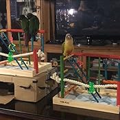 Penn Plax Wood Bird Playpen, Parrot Playstand Bird Playground Perch Gym ...